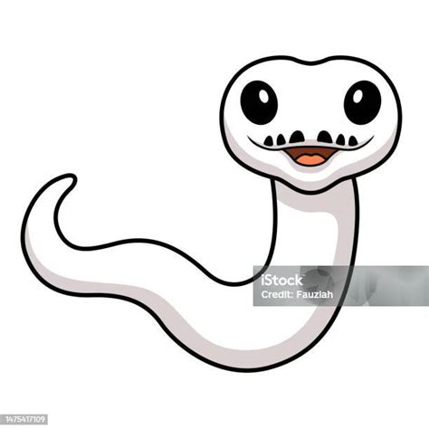น่ารักสีขาว Leucistic ลูกงูหลามการ์ตูนงู ภาพประกอบสต็อก ดาวน์โหลดรูป