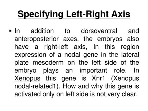 Formation Of Embryonic Axis Ppt Download