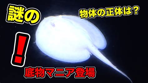 低層の高級魚コレクション ️白い発光熱帯魚の正体は！『アロワナ大混泳』『ポルカドットスティングレイ』『アロワナ』『アルビノスノークロコ