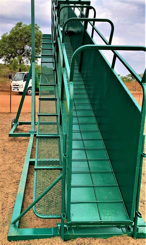 Sheep Loading Ramp Staalplaas