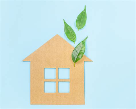 The Eco Changes We've Made- Anything Goes Lifestyle
