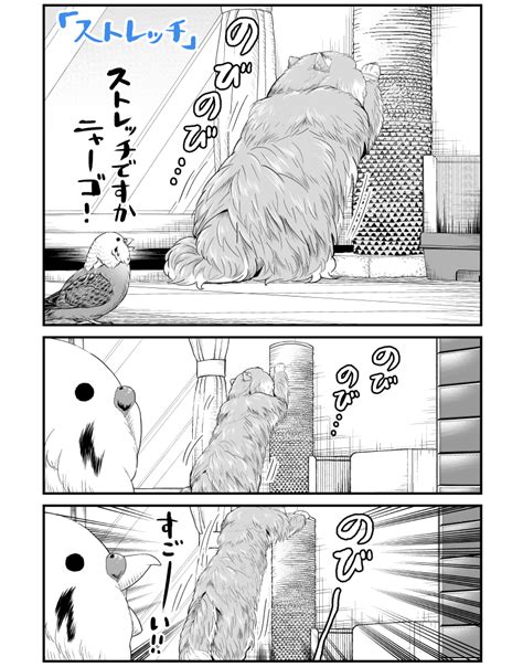 「のびのび🐈 本日発売のビッグコミック8月増刊号に『ニャーゴとピュロロロ』が2話掲載されております。」初丸うげべそ🕊『ちゅんトーク3』5