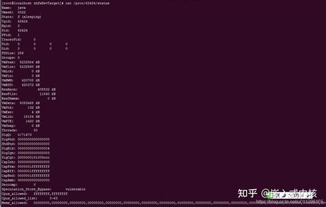 Linux中查看进程占用内存的情况（一文搞懂） 知乎