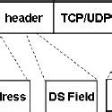 Structure Of An Internet Packet Download Scientific Diagram