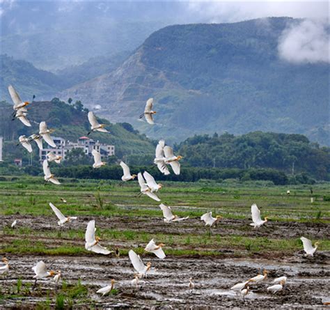 鸿尾乡 闽侯白沙镇 大山谷图库