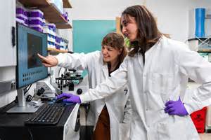 Molecular Switch Discovery Could Open Door To Male Birth Control