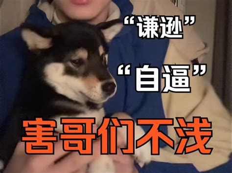 滚你的，我就是很牛批啊。 碎嘴企鹅 碎嘴企鹅 哔哩哔哩视频