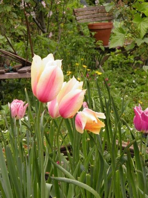 Spring Decorating Ideas Think Naked For Spring Decorating