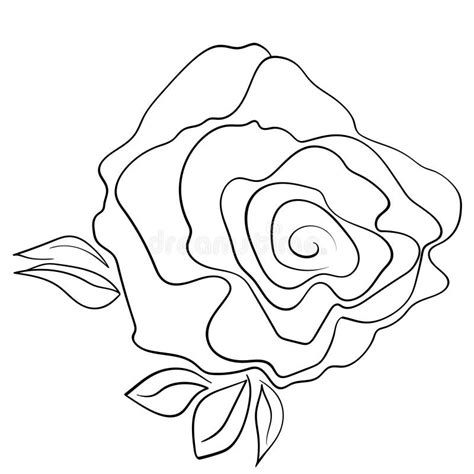 Floral Silhouette Art Line Flowers In Continuous Line Drawing Style