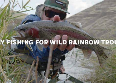 Euro Nymphing Casting Made Easy Fishing Fly Tackle