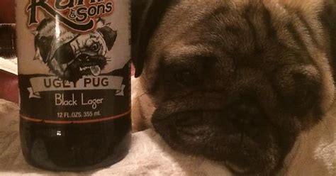 Pug Imgur