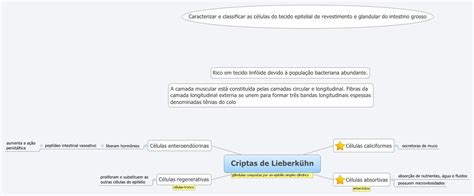 Criptas De Lieberkühn Xmind Mind Mapping App