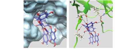 Molecule Binding Of 66 0 Bieckol To Active Site Of E Cadherin A