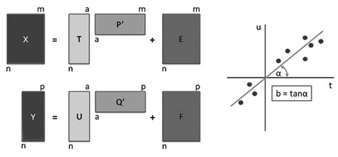 11 Schematic Representation Of PLS Regression Download Scientific Diagram