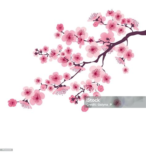 파스텔 컬러 벚꽃의 꽃 벡터 일러스트 레이 션 일본 사쿠라 지점 피 꽃 벚꽃에 대한 스톡 벡터 아트 및 기타 이미지 벚꽃 벡터 나뭇가지 Istock