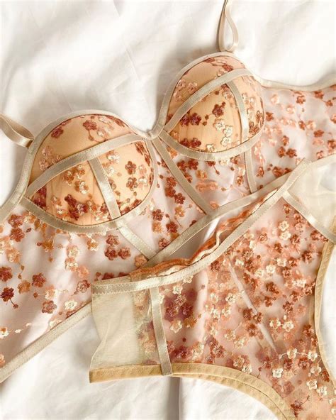 Classy Lingerie Lingerie Set Seductive Lingerie Bra Panty Bra And