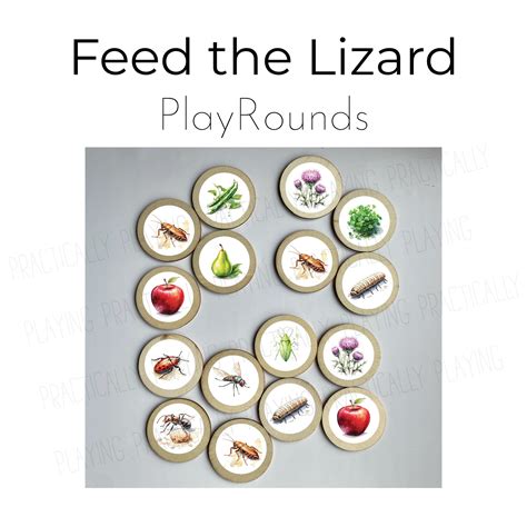 Feed The Lizard Drop And Learn Activity Pack Drop And Learn Activity P