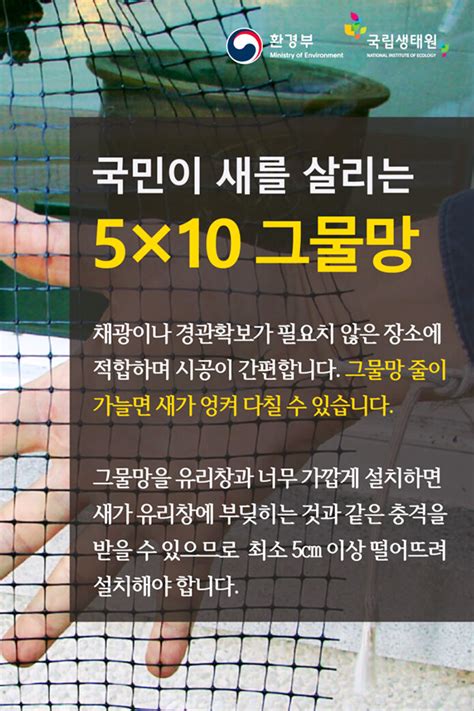 버드스탑 조류충돌방지 필름 새충돌방지 필름 시티커 테이프