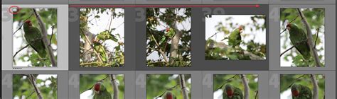 Paginate The Photo Browser View Vs Endless Scrolling 3 By Luotz