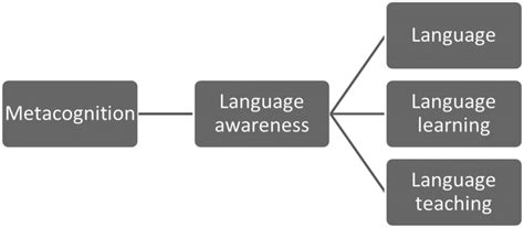 1 metacognition in relation to language awareness and its subdomains