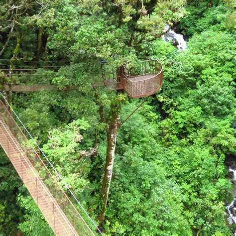 Hanging Bridges In Boquete Travel Local Club
