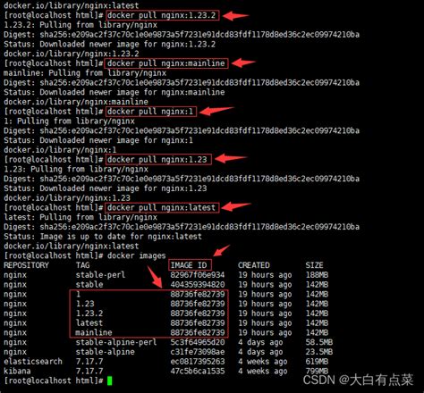 Docker Nginx Nginx Csdn