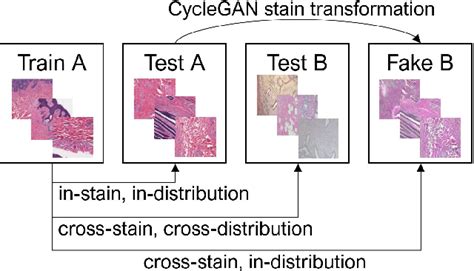 figure 1 from from cnns to vision transformers a comprehensive