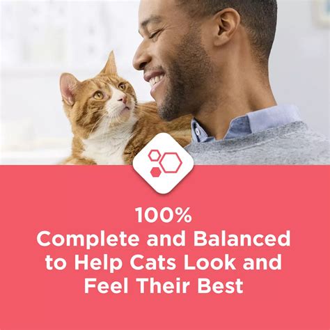 Cat Chow Purina Complete High Protein With Salmon Cat Food Dry Formula