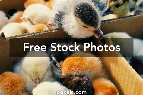 Hot Chicks In Tights Photos Download The Best Free Hot Chicks In