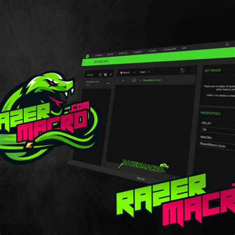 Enhance Your Gaming Experience With Best Razer Macro Enhance Your Gaming Experience With Best Razer Macro