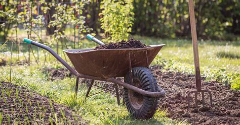 How To Use Leaves For Compost And Mulch Gardeners Path