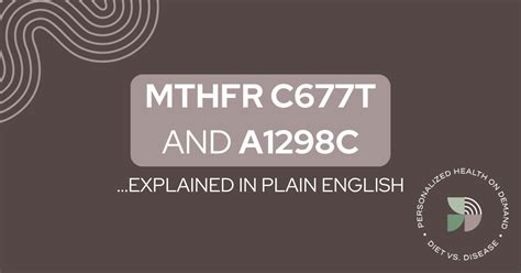 Mthfr C677t And A1298c Explained In Plain English