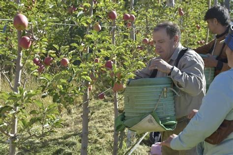 Aumentaron La Prestación Por Desempleo Para Trabajadores Rurales