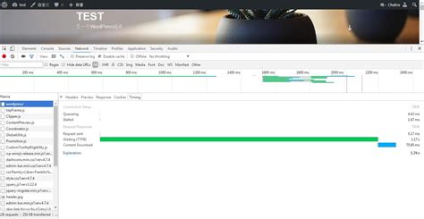 Wordpress 的 Waiting Ttfb 的时间是由主机的性能决定的吗 V2ex