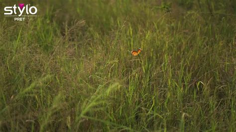 Fizza Ahmed On Linkedin Recent Work For Stylo Pret Fall23