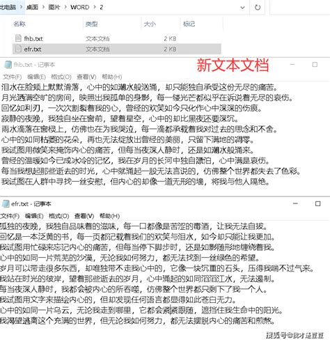轻松掌握批量删除多个 Txt 文本文件的某个指定内容，提高工作效率的方法软件处理进行