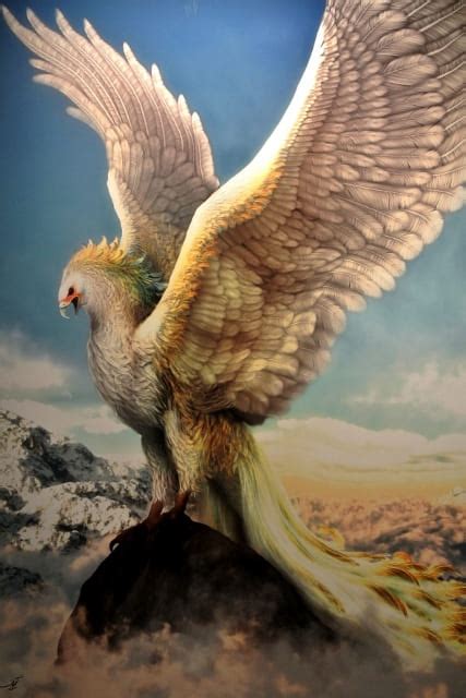 Simorgh On Top Of Damavand Adventure