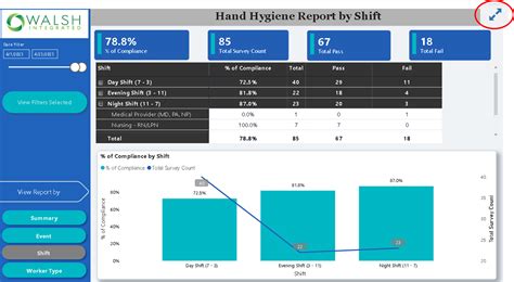 Hand Hygiene Report Walsh Integrated Knowledge Base