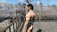 Post 3375600 Animated Fallout Fallout 4 Paladin Danse Sound Webm