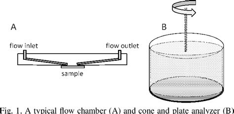Heart Function Tests Semantic Scholar