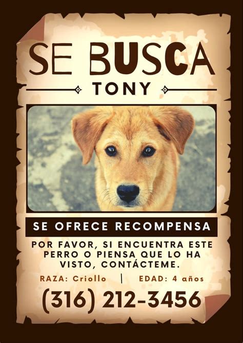 Plantillas Para Carteles De Perro Perdido Editables Gratis Canva