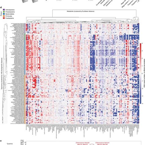 Schematic Of A Custom Bioinformatics Analysis Pipeline That Generates A Download Scientific