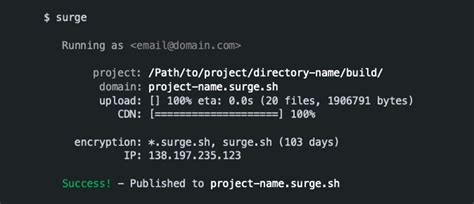 How To Deploy React App With Surge And Github Pages By Noa Rabin