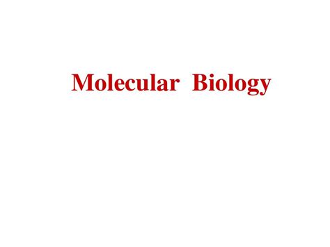 分子生物学 课件word文档在线阅读与下载无忧文档