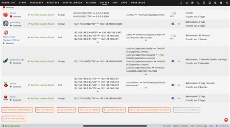 Nginx Proxy Und Pihole Deutsch Unraid