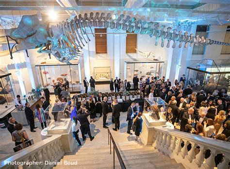 Australian Museum Spectacular Venues Hidden City Secrets