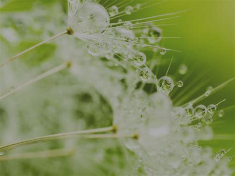 Integral Counseling Psychology M A In Counseling Artofit