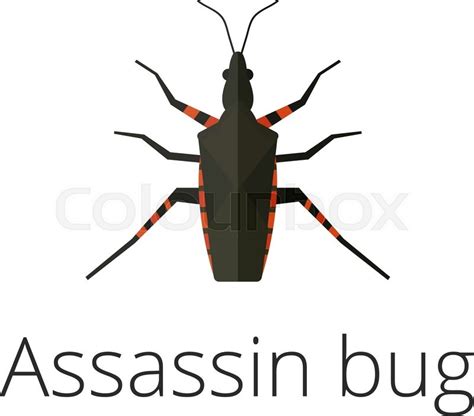 Assasin Insect Clipart 17 Free Cliparts Download Images On Clipground
