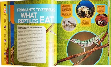 英文原版美国国家地理 National Geographic Kids Ultimate Reptileopedia精装收藏版爬行动物