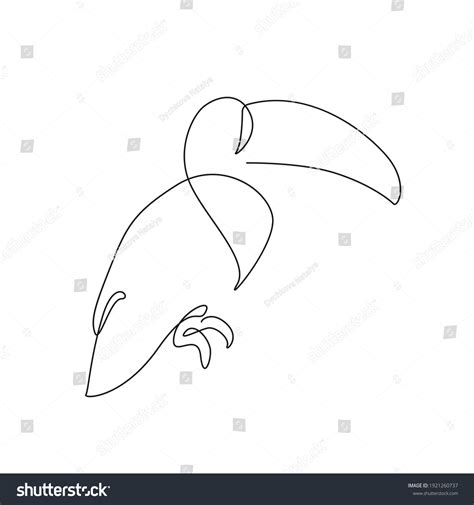 Toucan Continuous Line Drawing Bird Toucan Stock Illustration 1921260737